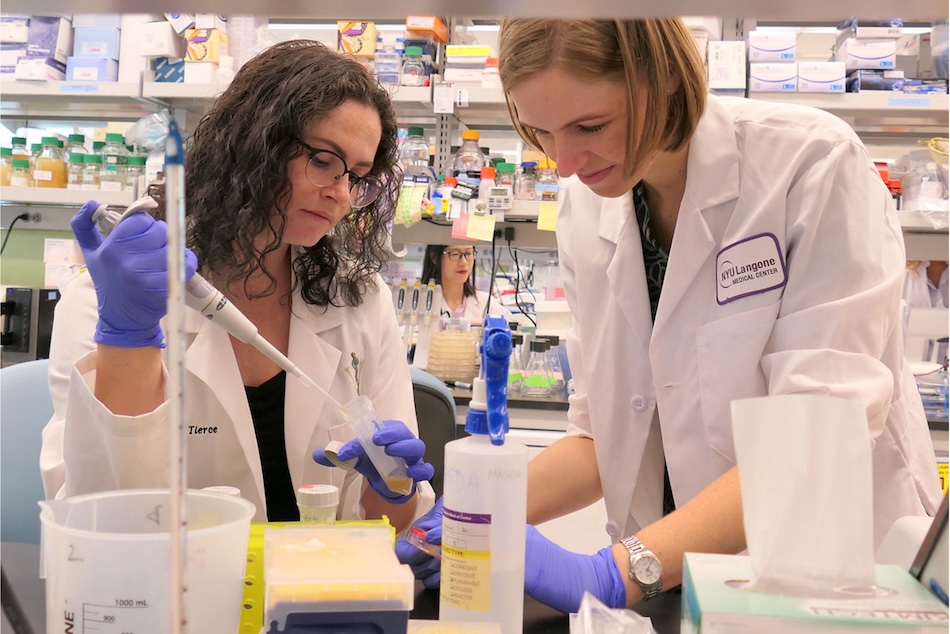 From Lab to VC: The University Spinout Playbook - NYU Entrepreneurship ...